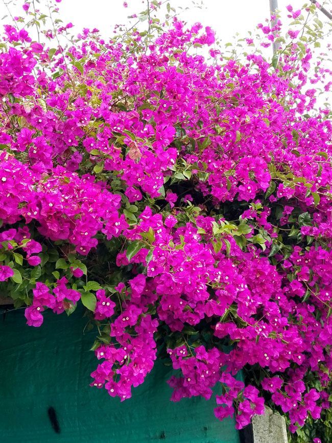 My Travels: Nobsa, Boyaca - Remodelando la Casa