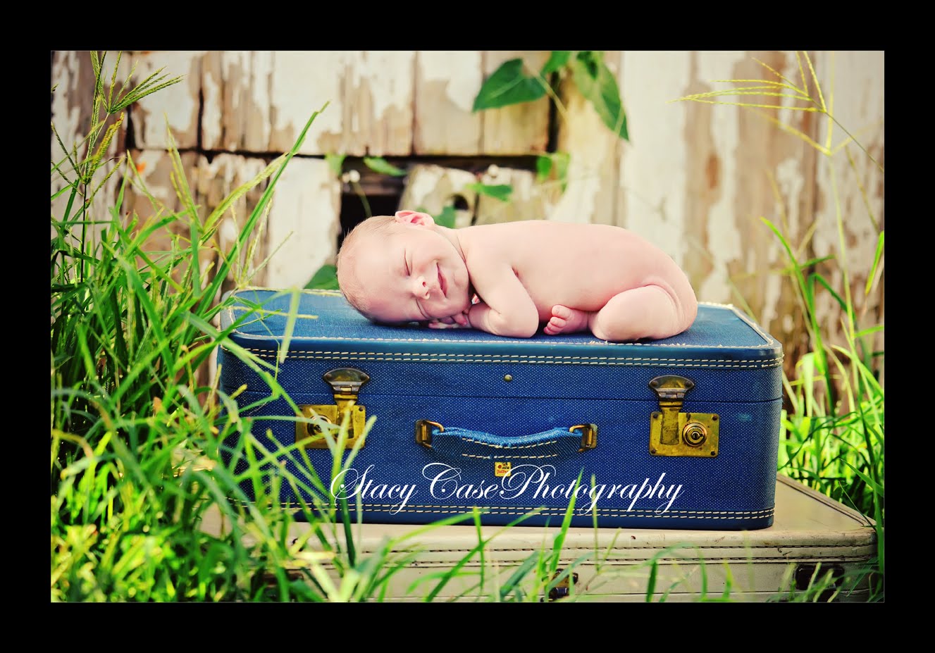 Stacy Case Photography