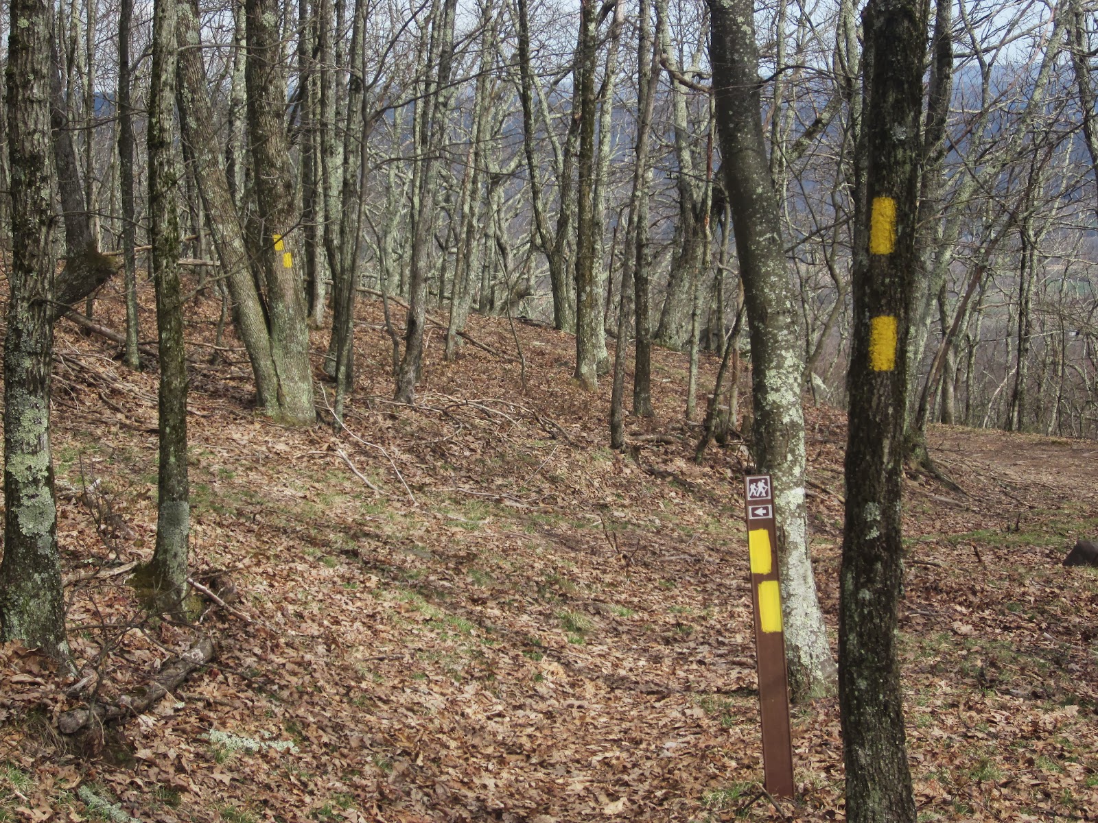 GET Hiking: Allegheny Trail