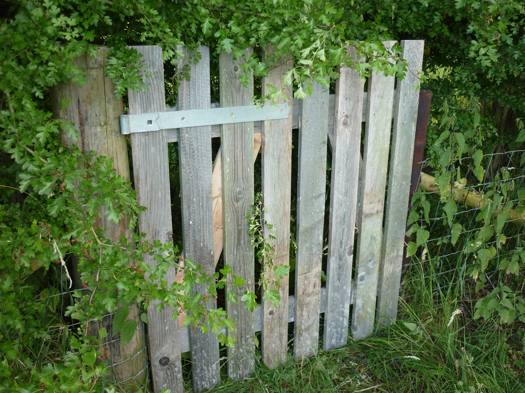 An English Homestead: Gates For Sheep