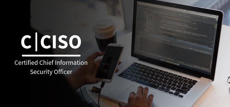 A Roadmap to Become a Chief Information Security Officer (CISO)