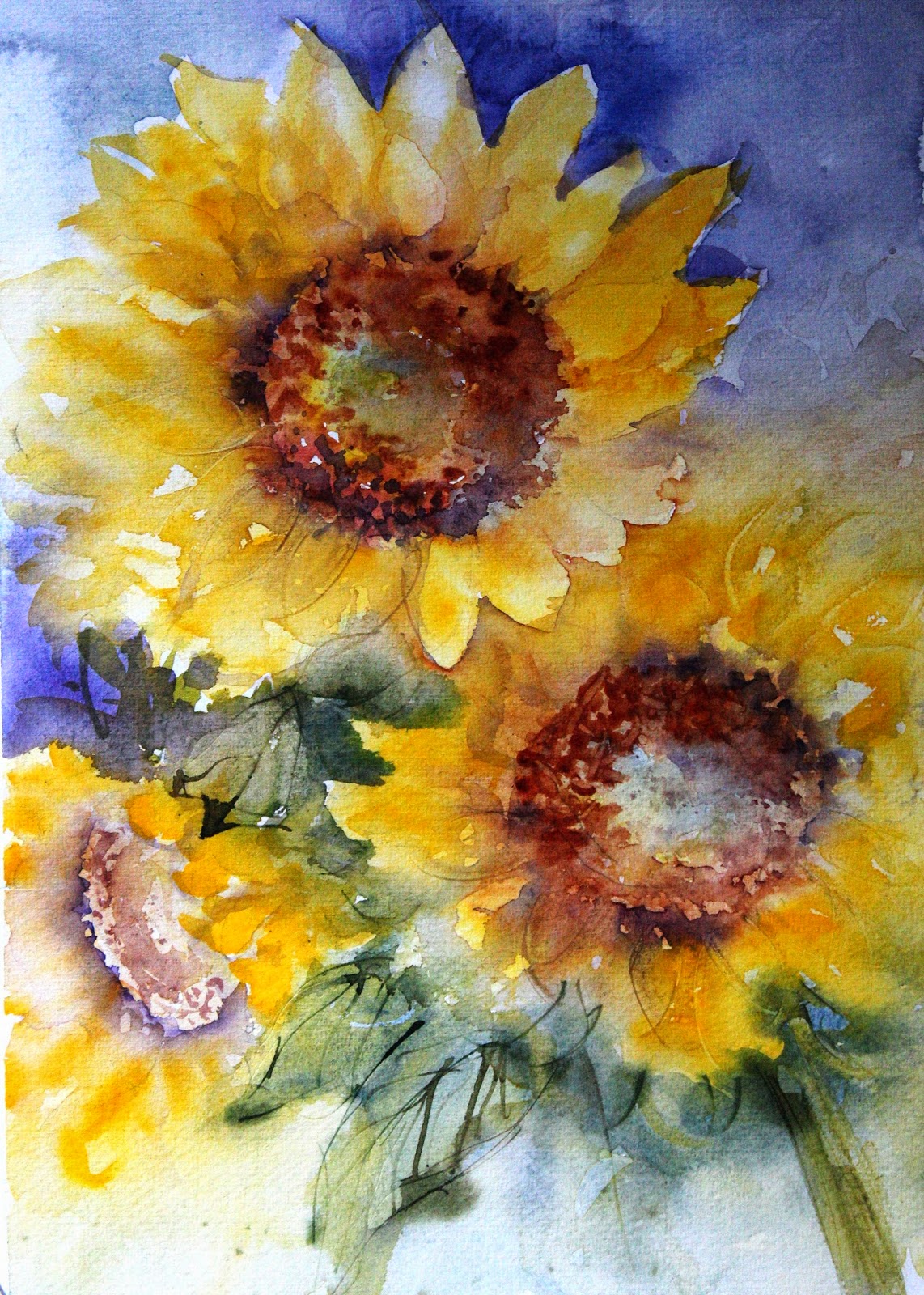 note di acquerello: acquerello