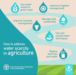 Dealing with Water Scarcity in Agriculture