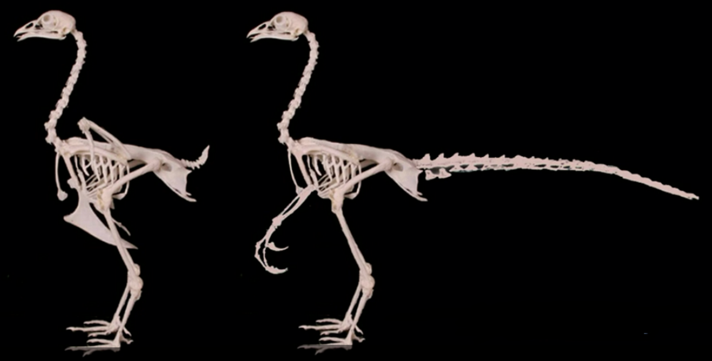 Reddit - Dive into anything