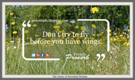 Flying Proverbs