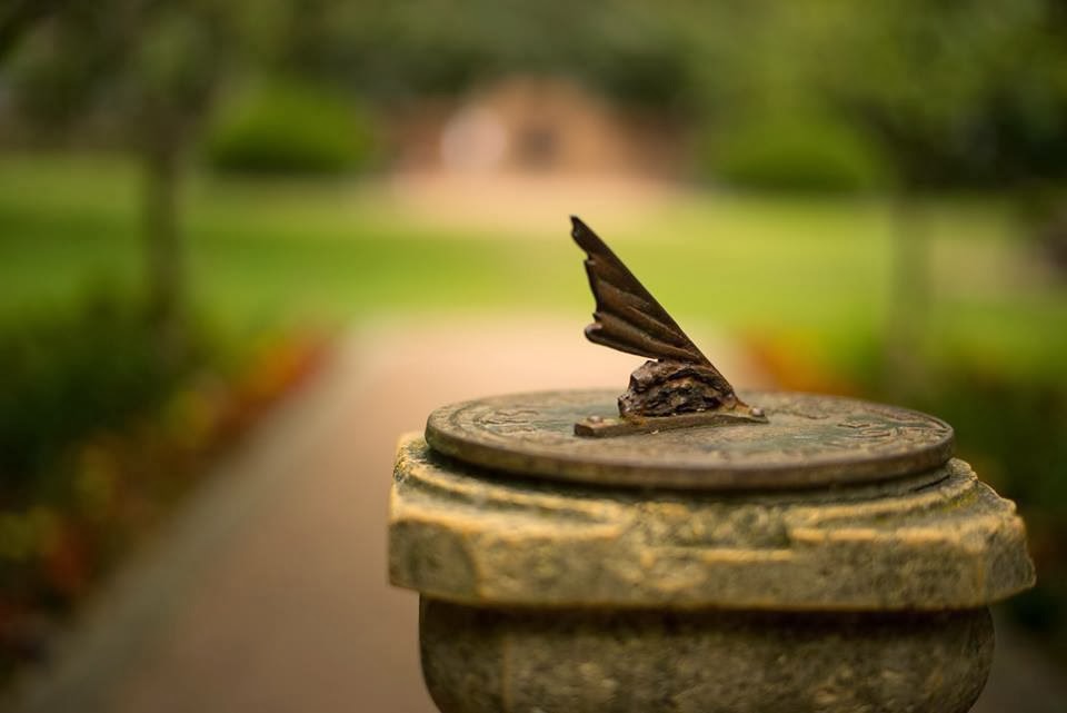 Bitácora de Fotografía: Chris Chabot