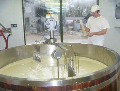 CHEESE RENNET: Production of natural calf rennet