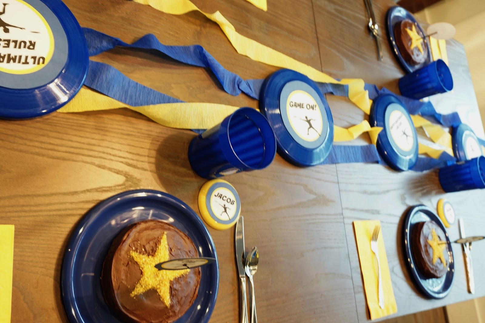 michelle paige blogs: Ultimate Frisbee Party