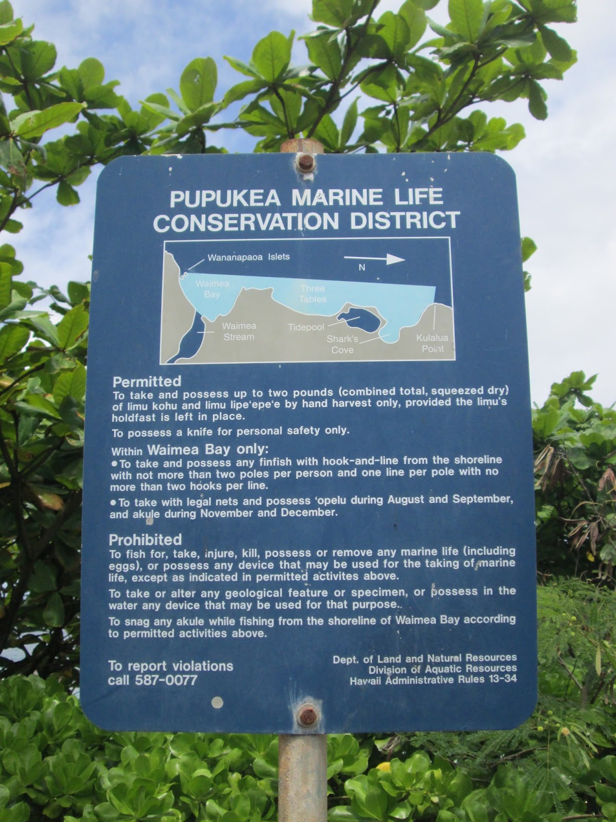 Aloha On My Mind: Aloha to Pupukea on the North Shore