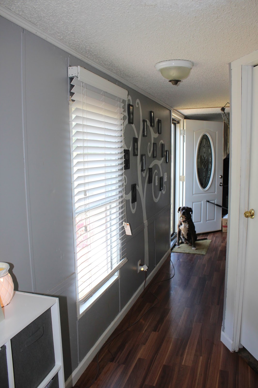 Welcome to the Tralace