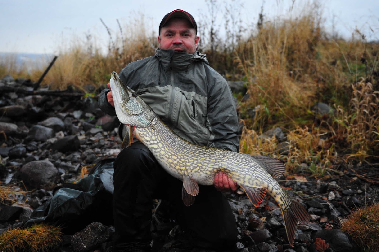 Everything With Teeth: Nordiske storgedder på stribe