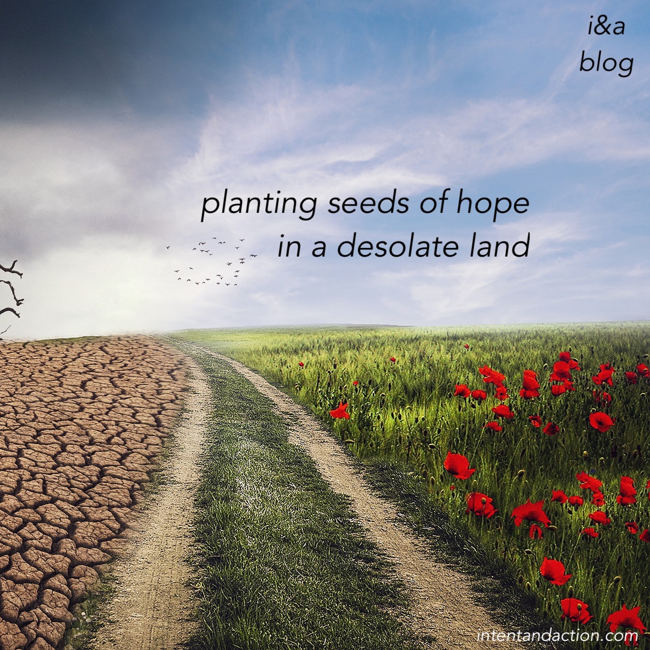 Sparks in Wisdom's Fire: Blossoming Hope in a Desolate Land