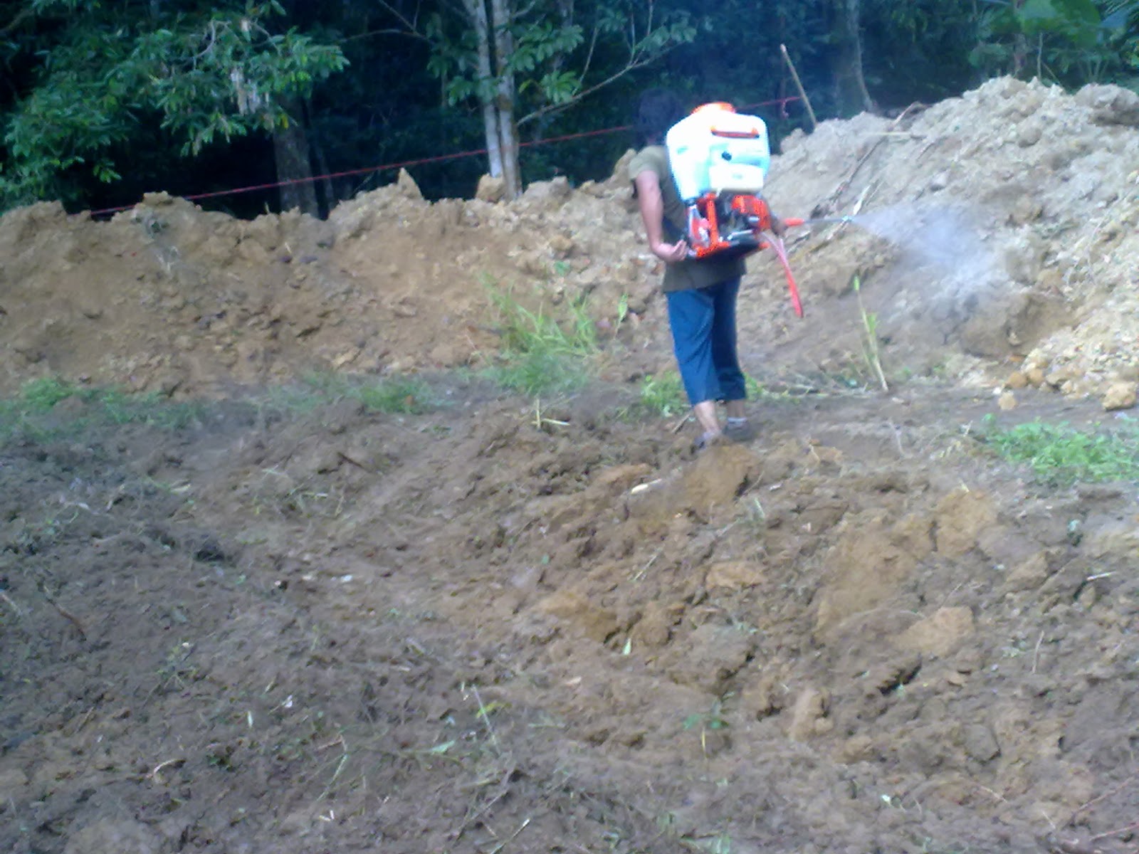 Pembekal Tebu : Meracun tanah