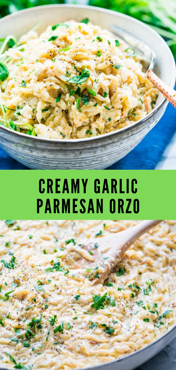 Creamy Garlic Parmesan Orzo - American Food Recipes