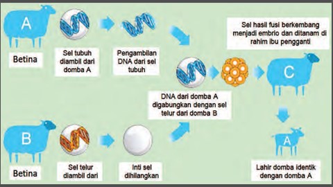 Contoh produk bioteknologi modern