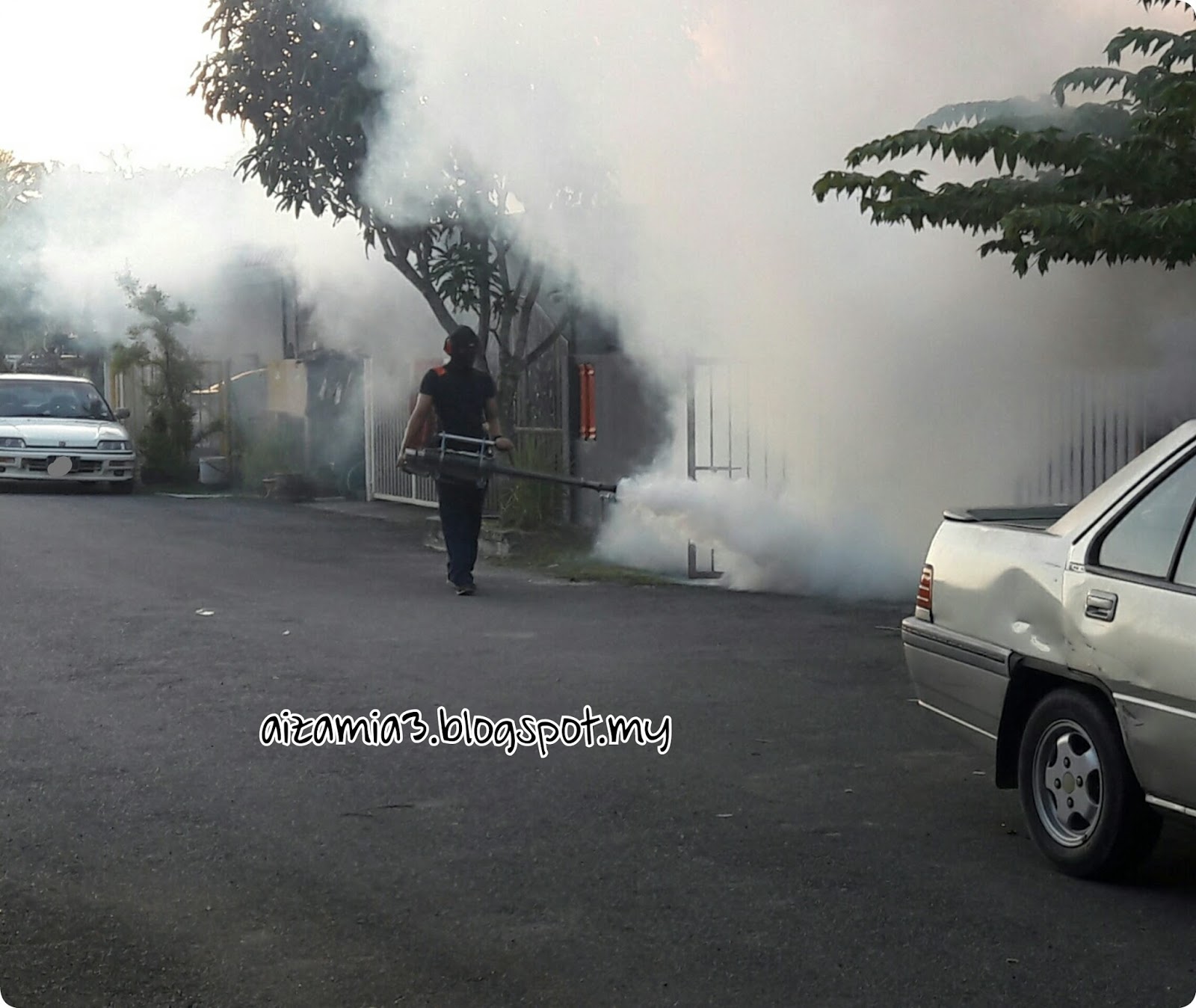 MakBudak a.k.a RemajaPurba: Semburan Kabus @ Fogging di TDBi