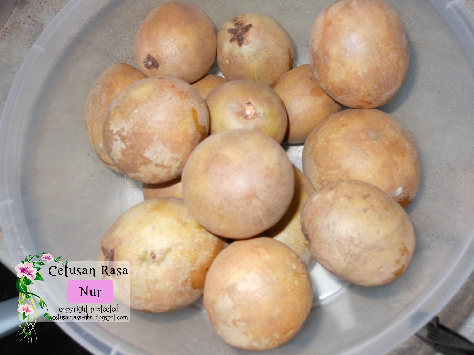 Cetusan Rasa: Khasiat Ciku