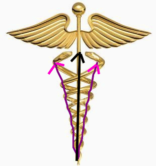 REAL WORLD GEOMETRY: Angle bisector