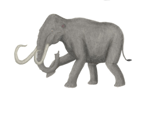 Sounder Art: Mammuthus columbi (Columbian Mammoth)