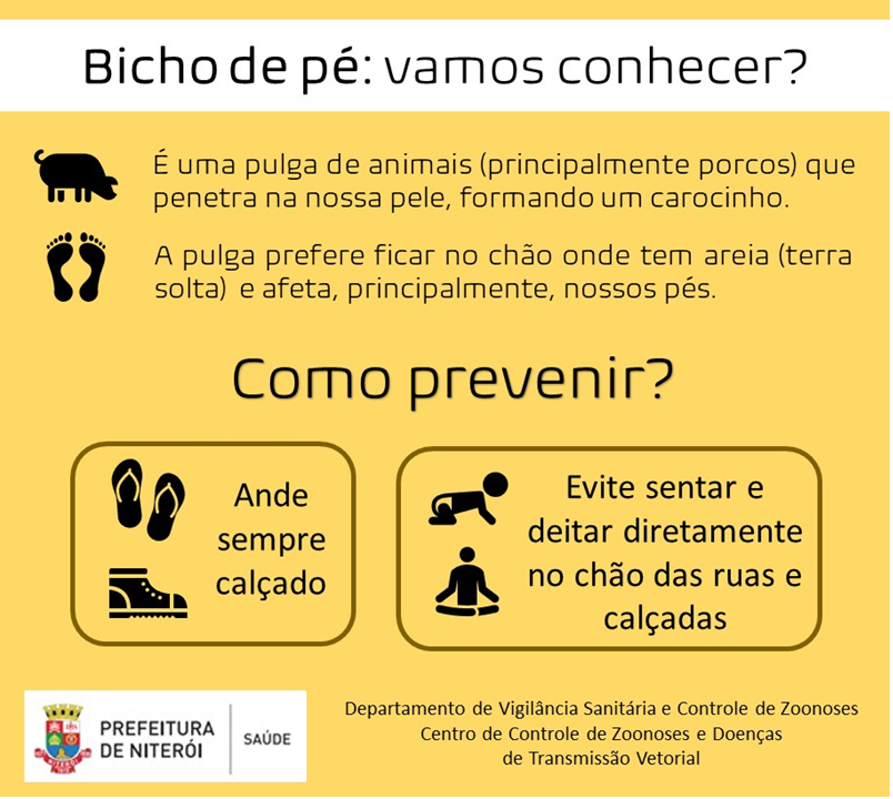 Centro de Controle de Zoonoses - Niterói/RJ: Bicho de pé: vamos conhecer?