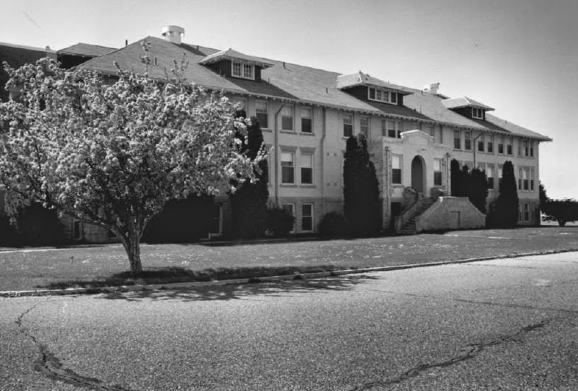 College History Garden: January 2015