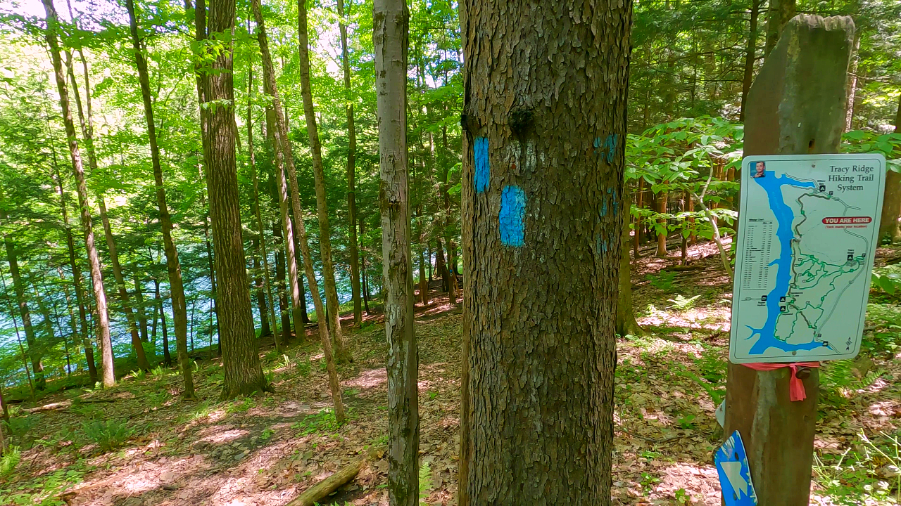 Hiking Allegheny National Forest - [Tracy Ridge Trail System]