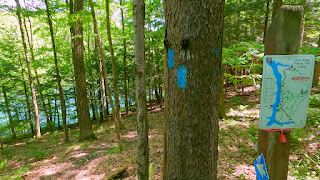 Hiking Allegheny National Forest - [Tracy Ridge Trail System]