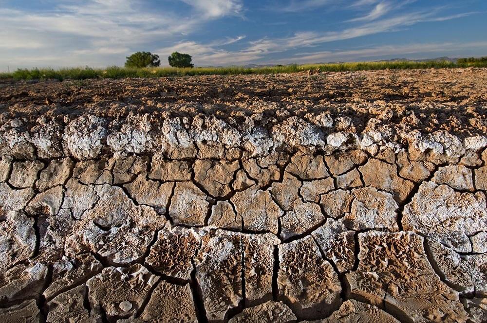 How can we prevent soil salinization?