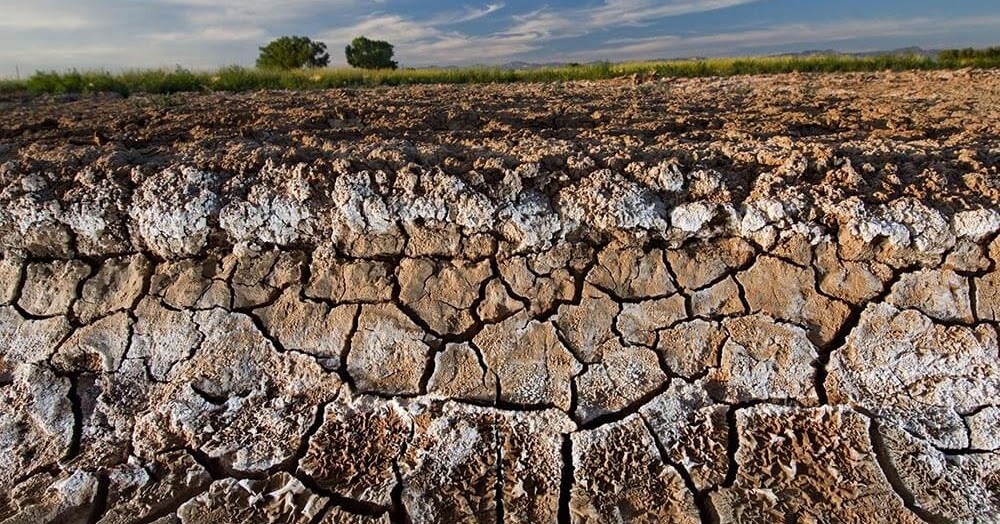 How can we prevent soil salinization?