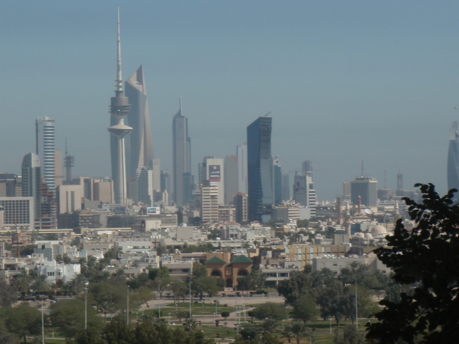 Athens Nature Journal: Kuwait Birding: Near Kuwait City