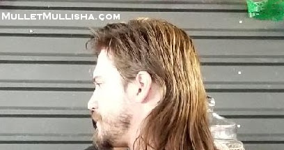 Mullet Mullisha: A Taste of Mexico