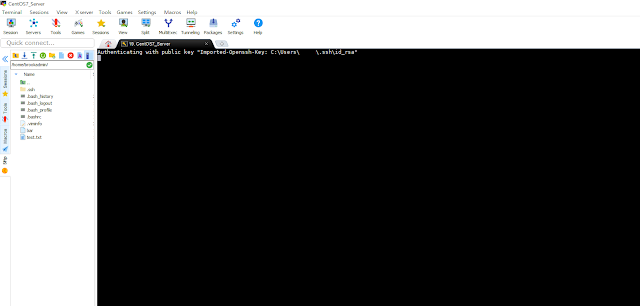 Linux And Windows 使用 Ssh 公開金鑰public Key Authentication 登入遠端主機linux Server