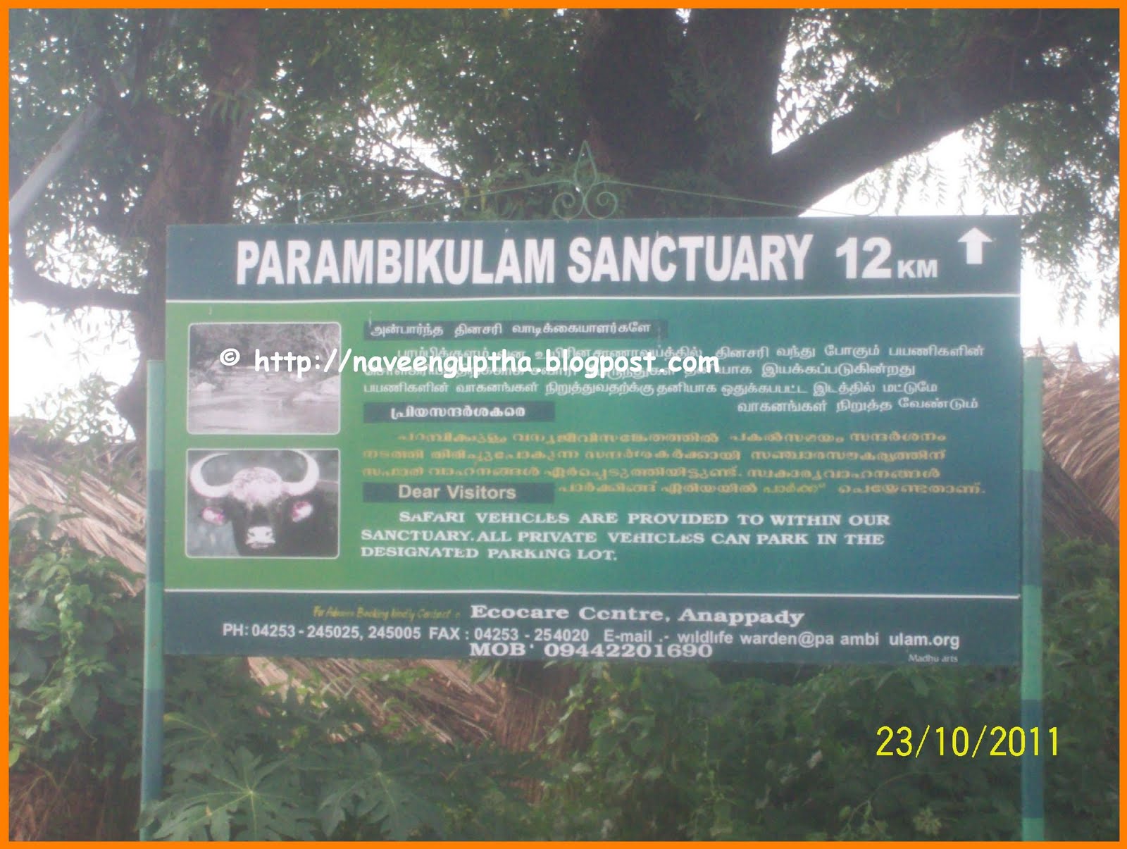 Exploring South India - Travel blog.....: Topslip-Parambikulam Road trip