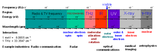 Sustainable Mycology: Terahertz imaging applications Sustainable Mycology: Terahertz imaging applications