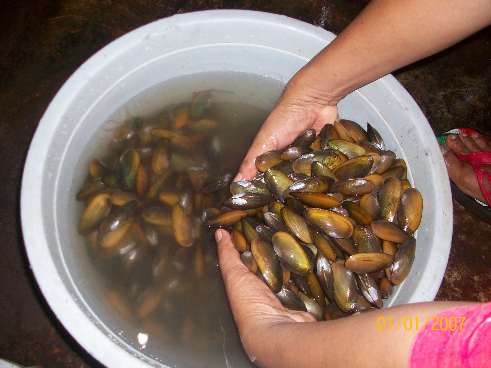 Ridwan's Blog: Cari Kijing yuk...!!!