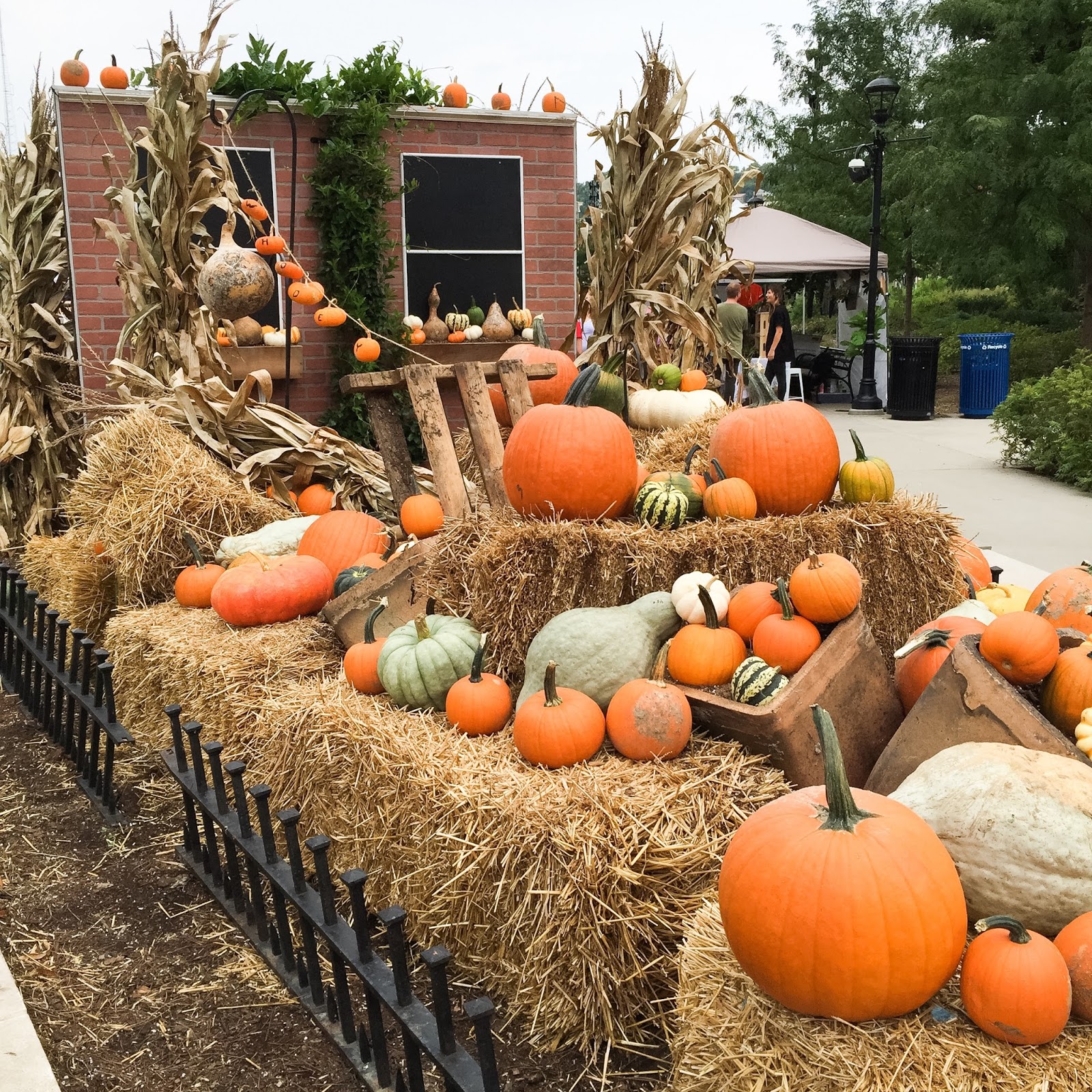 A fall festival to-do list - Simply Sarah Style