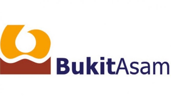 PT Bukit Asam (Persero)