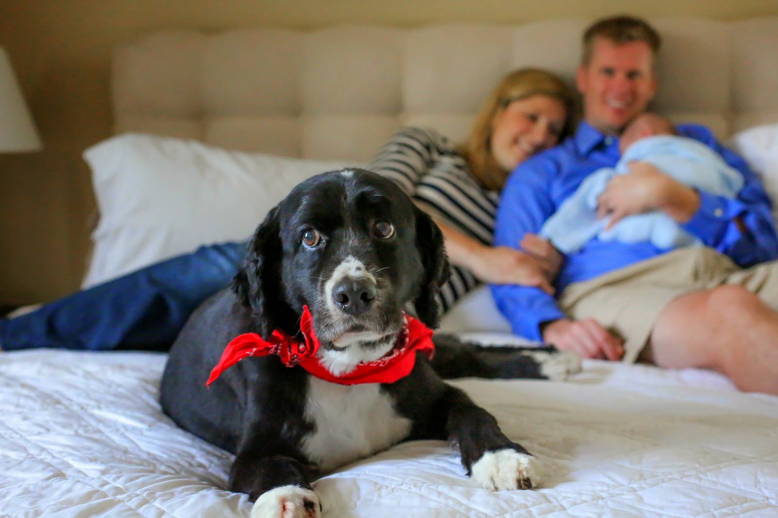 Emma Emery Photography