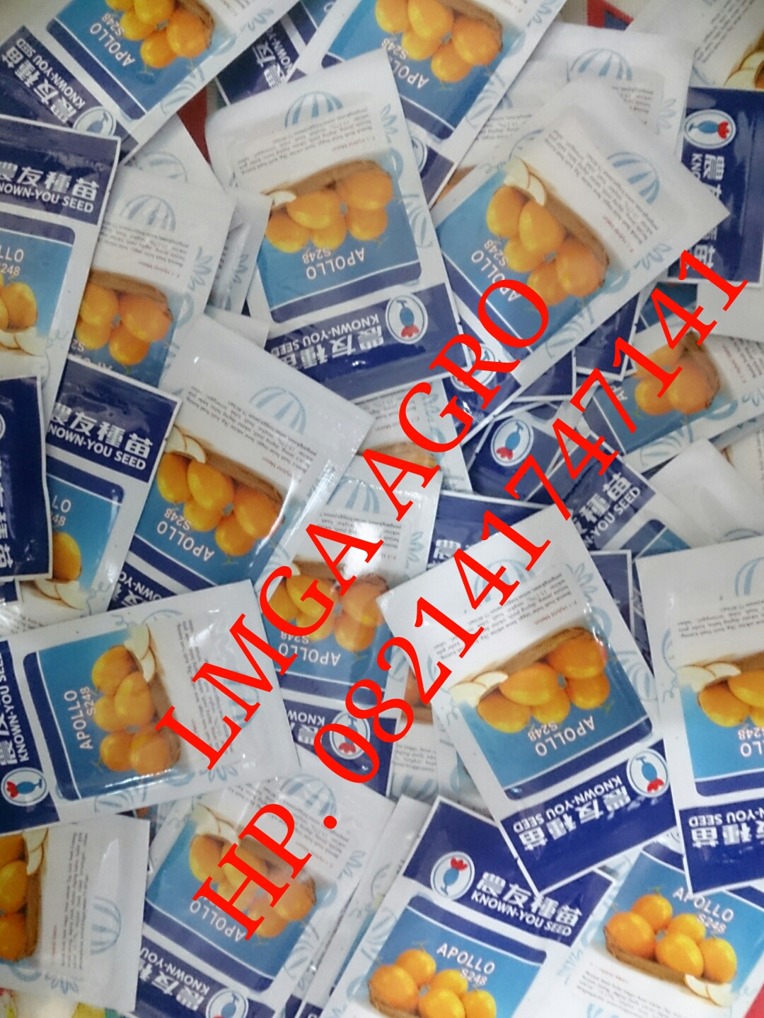 Toko Pertanian Terdekat | Lmga Agro: Melon Apollo Peluang Emas Petani Melon