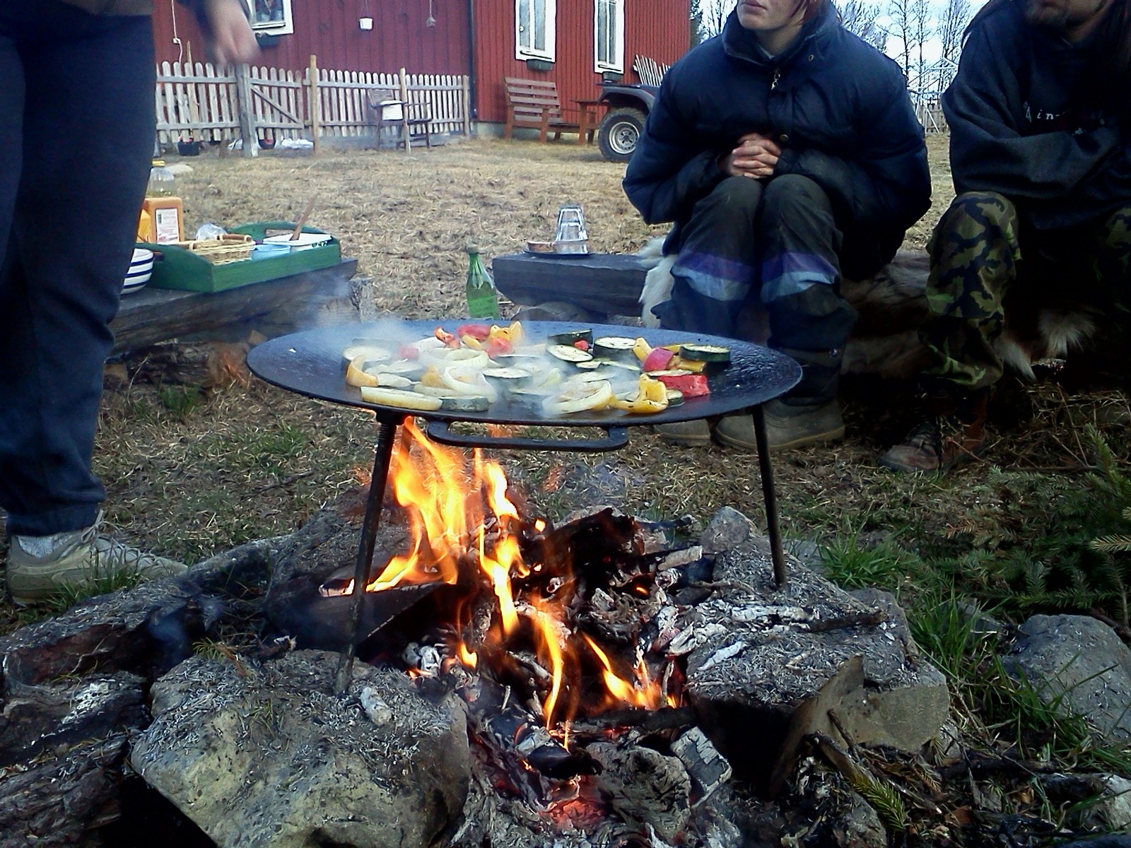 Katerina's Journal: Cooking Outside