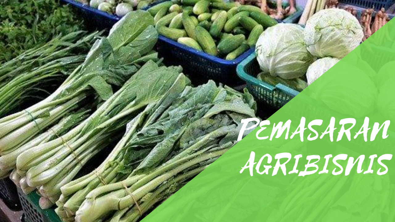 Saluran Pemasaran Agribisnis - Agribisnis Agrokompleks
