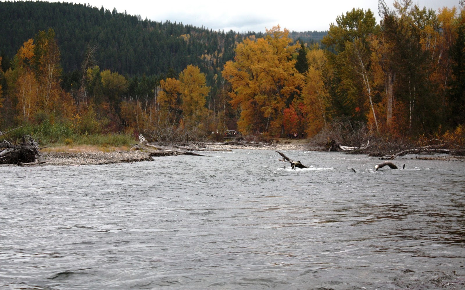 Get Me Outdoors: Adams River Salmon Run