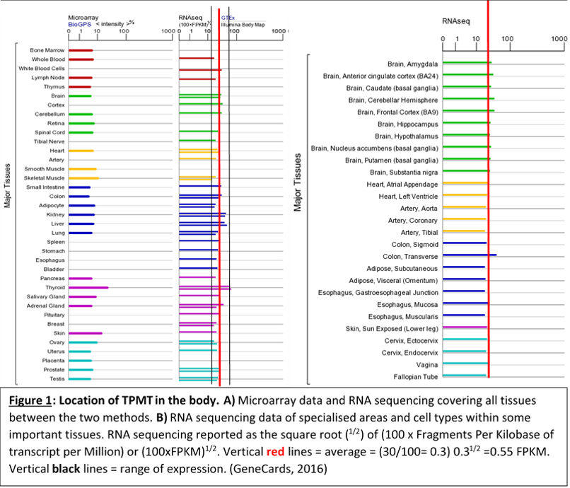 Brainfreeze : Thiopurine S-methyltransferase (TPMT) Deficiency