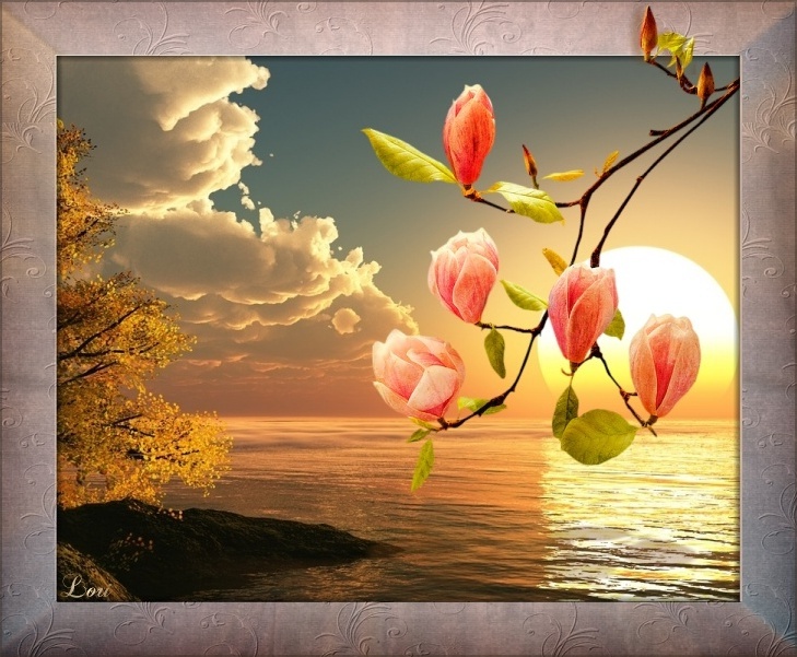 FRATERLUZ: Perante os Parentes