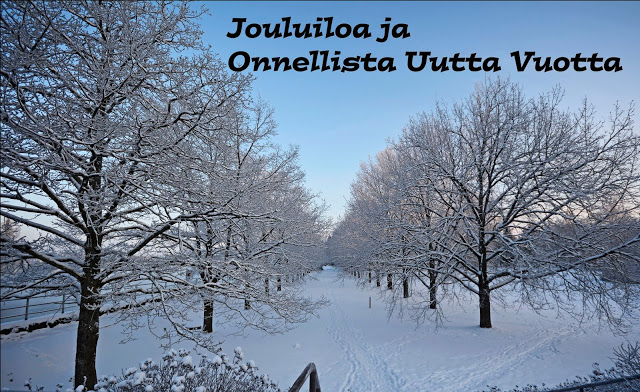 Pihakuiskaajan matkassa: Ihanaa ja rauhallista joulua!