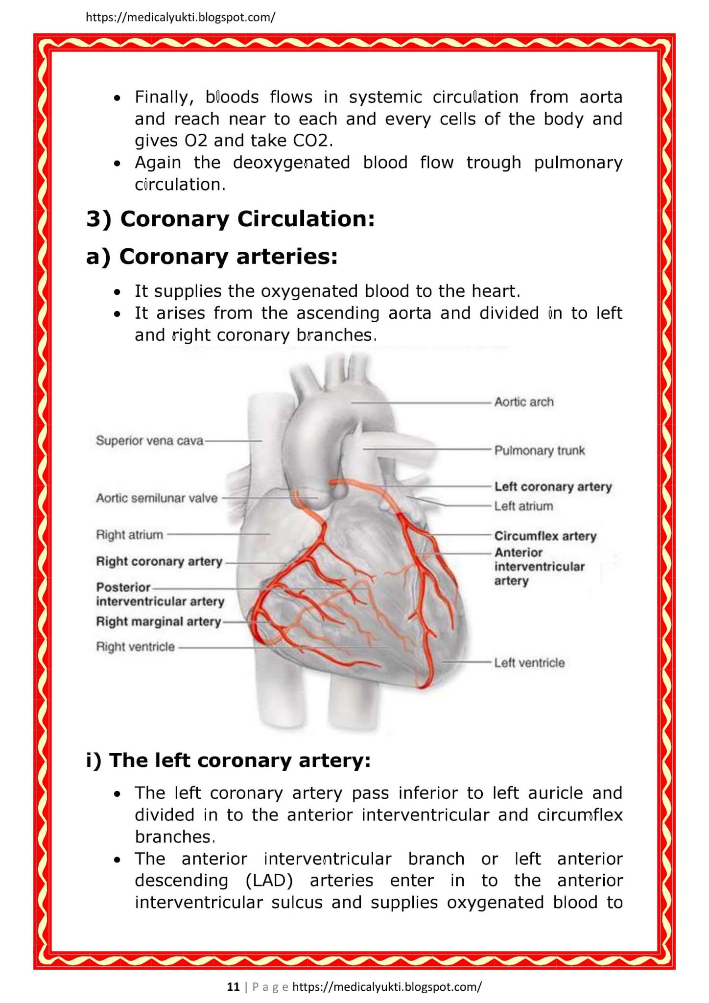 CARDIOVASCULAR SYSTEM - Medical Yukti