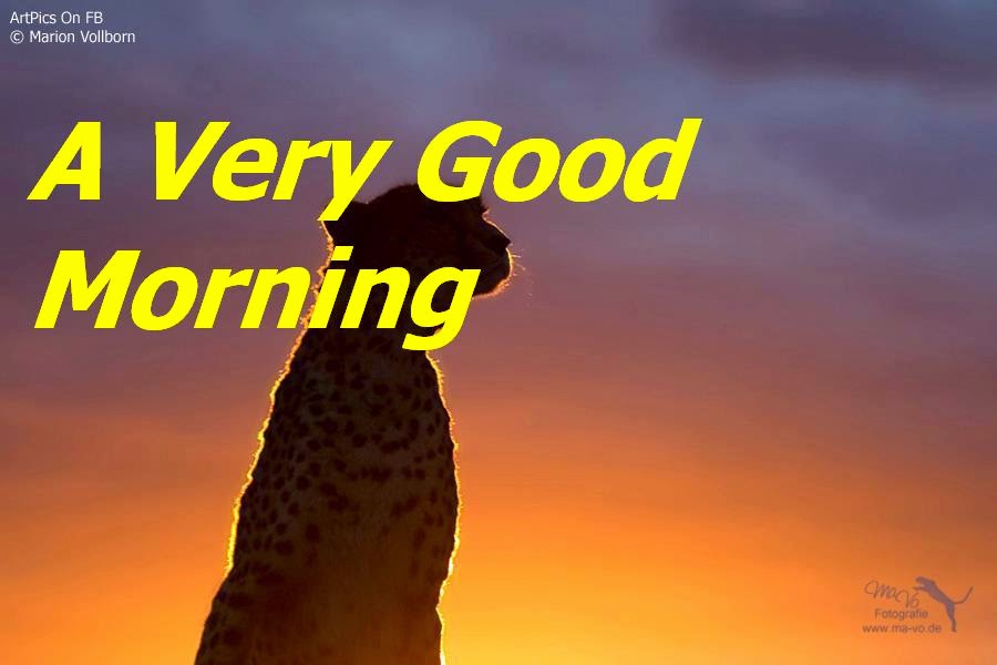 A very good morning saying by a tiger at early morning time ~ Latest ...