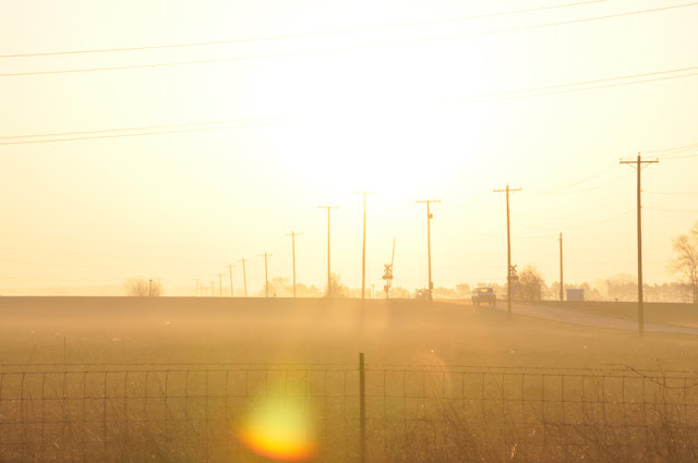 Simple Daisy: {Hello Midwestern Spring}