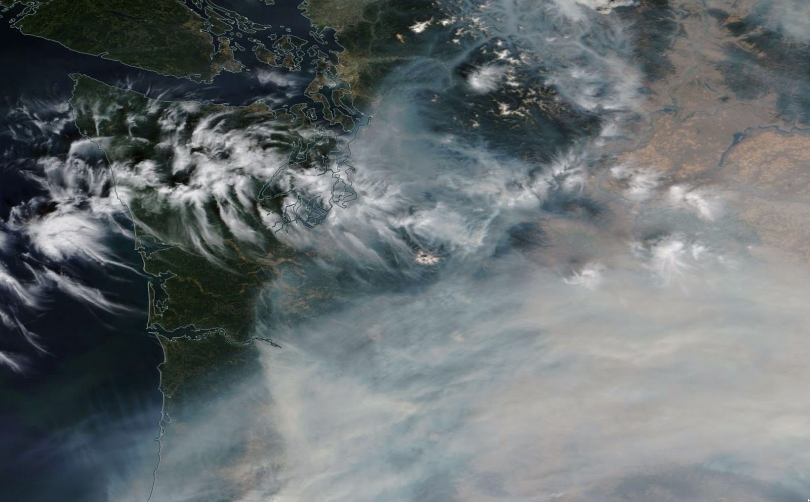 Cliff Mass Weather Blog: Smoke Front Hits Western Washington