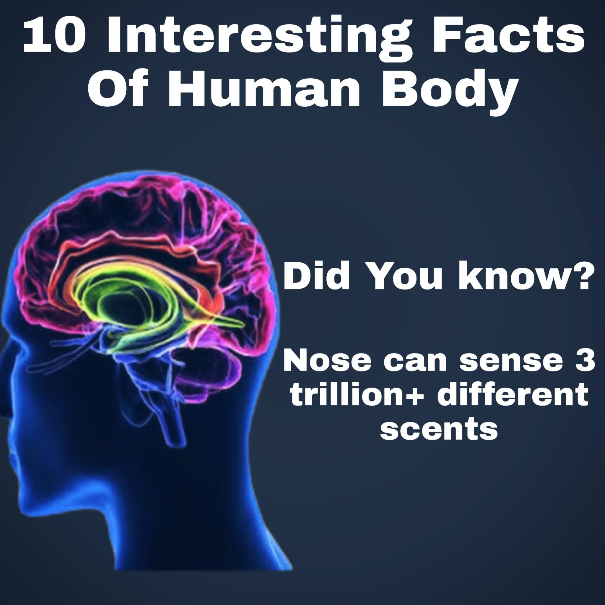 Get Answers December 27, 2020